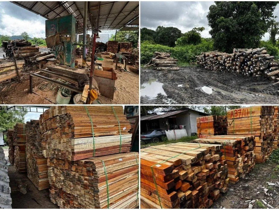Kayu balak, kayu siap proses bernilai RM6.3 juta tanpa kebenaran ...
