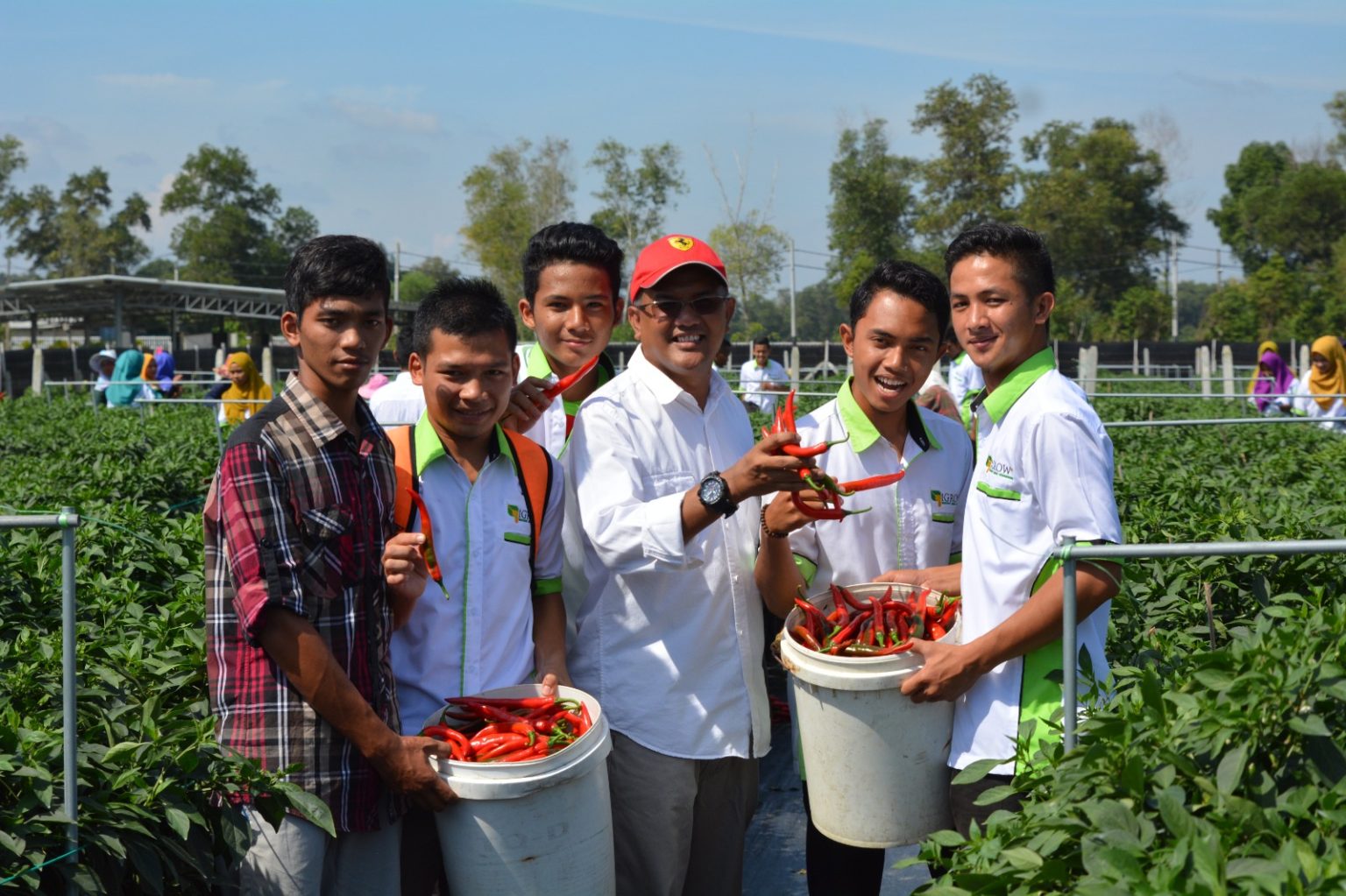 Pengalaman projek rintis elak perancangan pendidikan ‘separuh masak ...